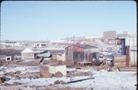 History | Pauktuutit Inuit Women of Canada