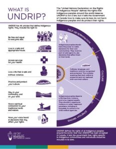 What is UNDRIP - Pauktuutit Inuit Women of Canada